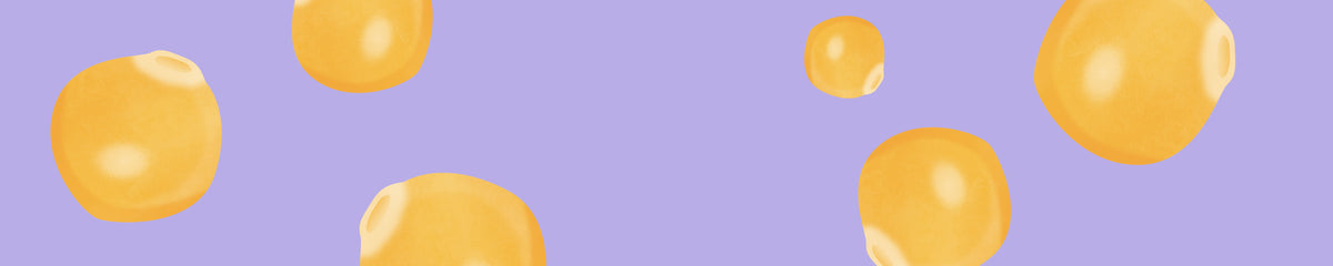 Protein Powder – Tarwi